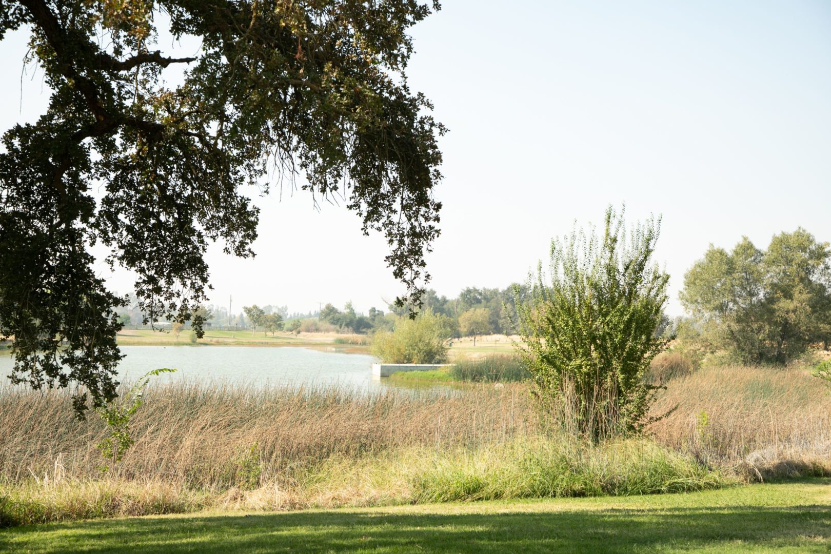 Gibson Ranch Fall Mini-Sessions